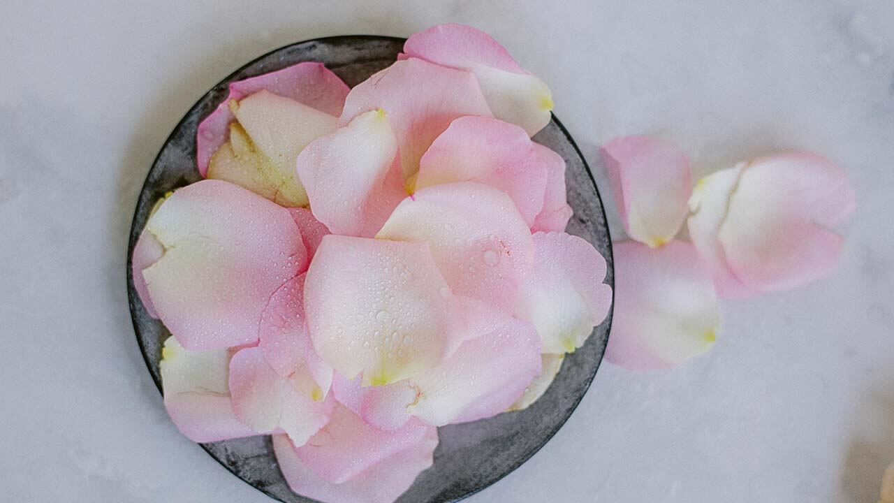 Contact Redmond Spa - Relaxing Massages & Contact Info